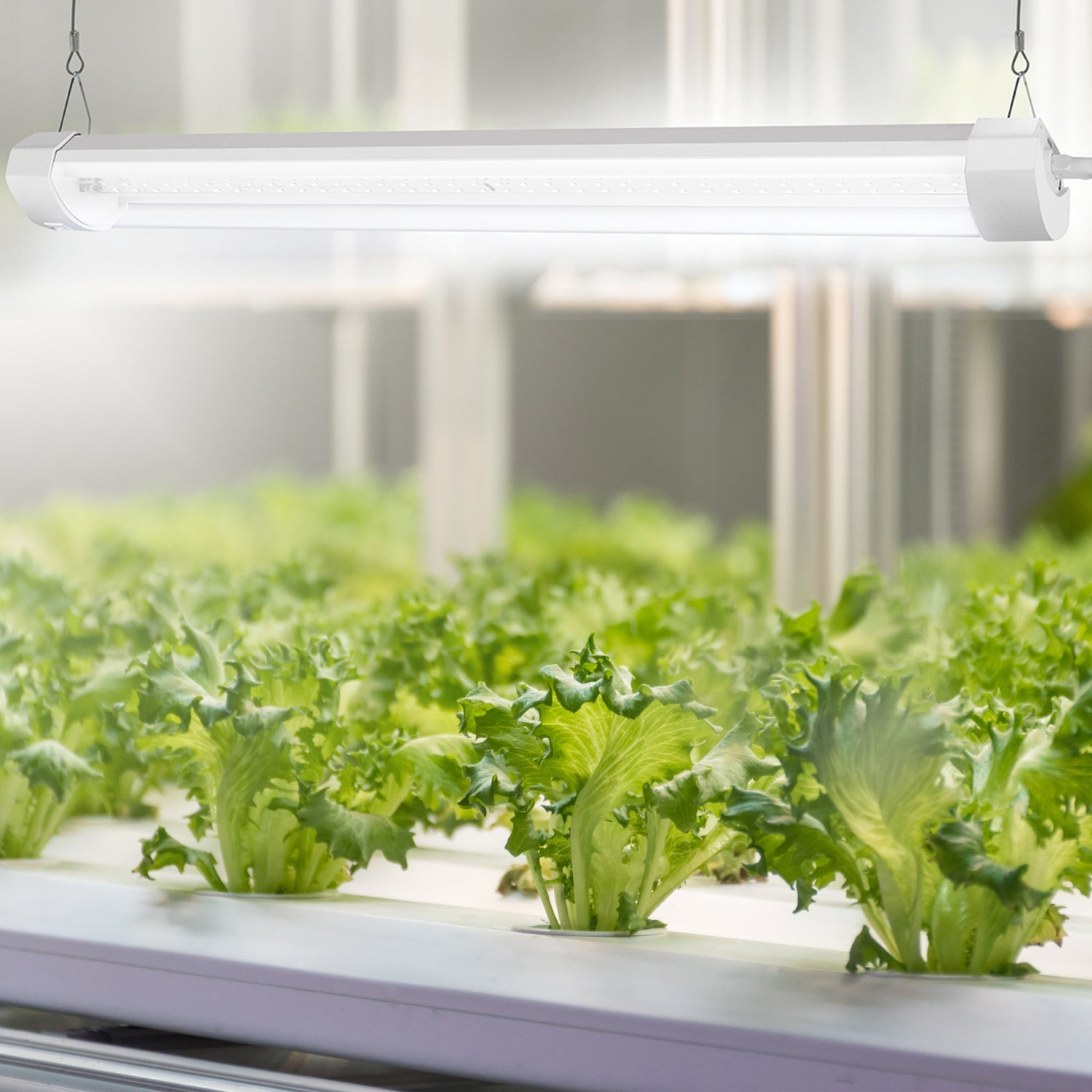 Feit Electric GLP46ADJS/RF/40W/LED 48 in. Adjustable Spectrum LED Grow ...